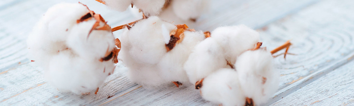 Compression products with cotton - Juzo