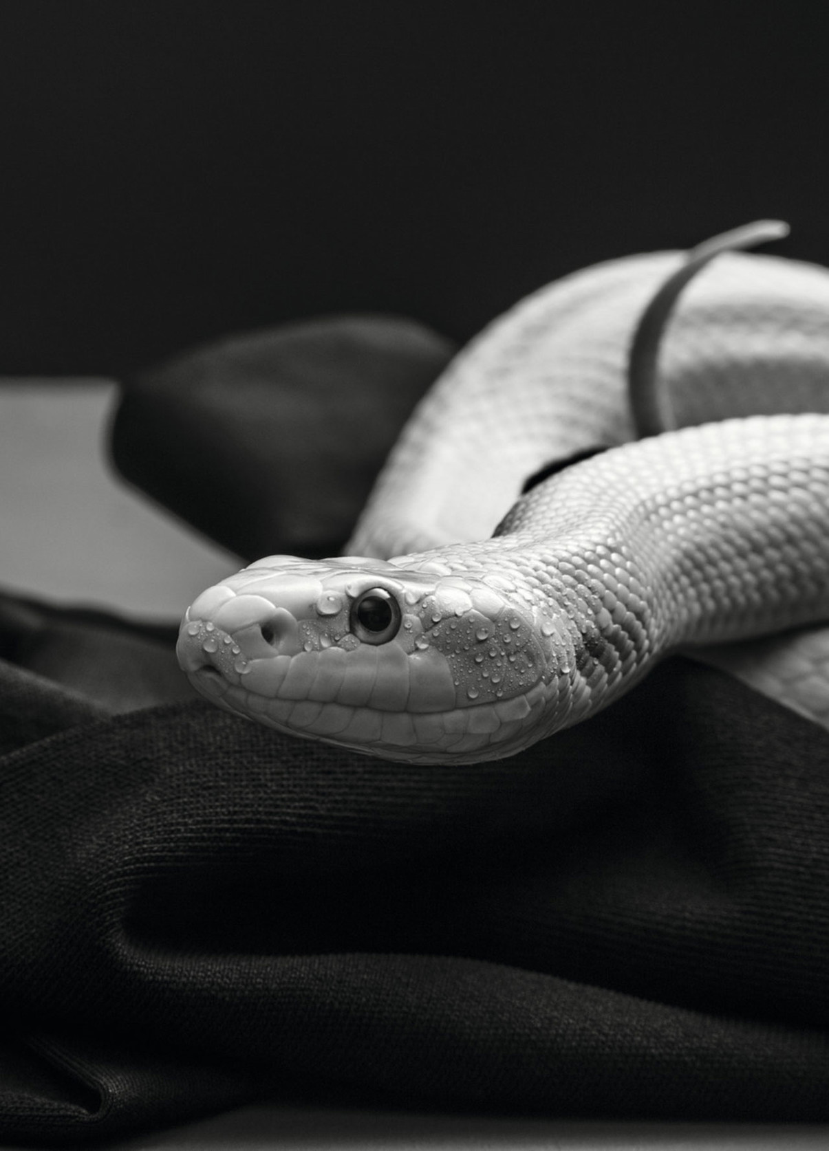 Juzo Move – Compression stocking for easy donning and doffing - Juzo